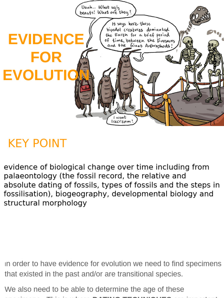Evidence For Evolution | PDF | Fossil | Geologic Time Scale