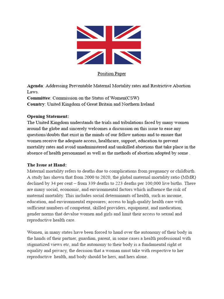 UK_Position paper | PDF | Maternal Death | Woman