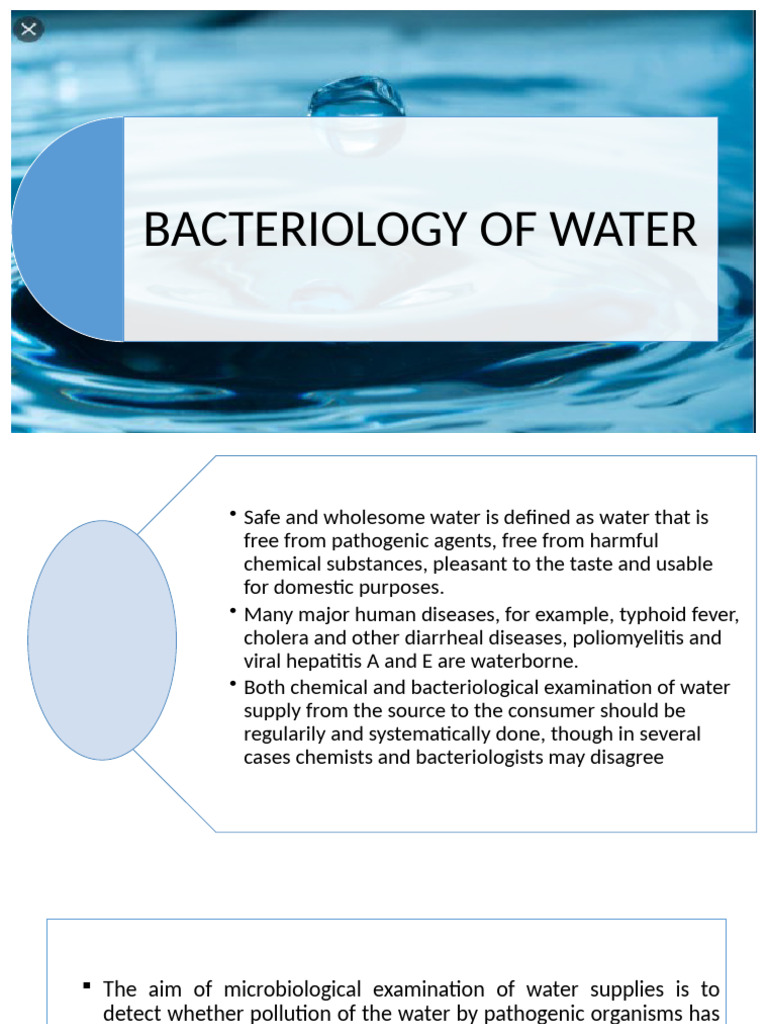 bacteria of water | PDF | Bacteria | Water