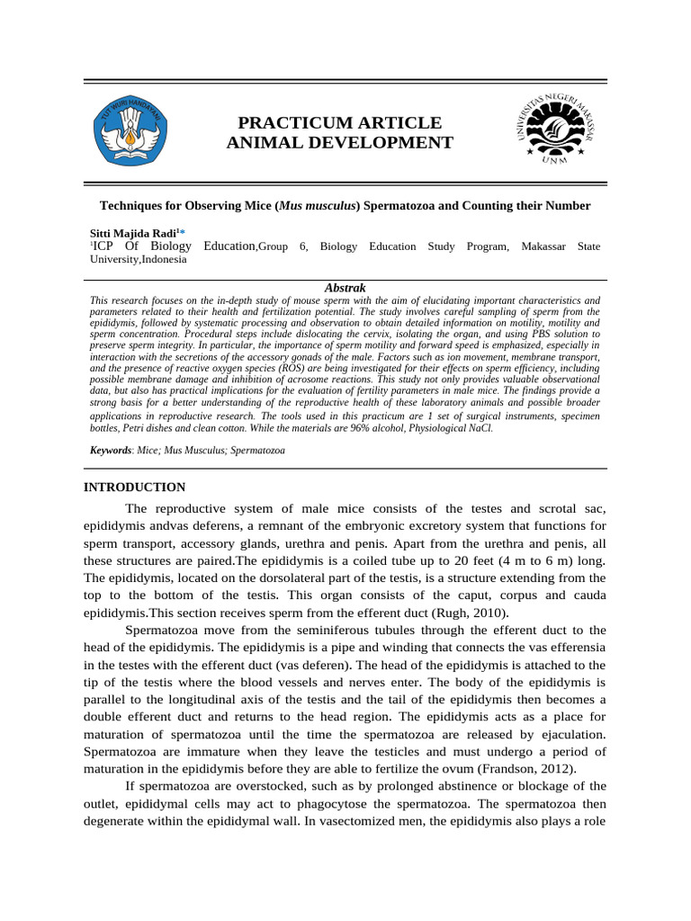 SPERMATOZOA | PDF | Testicle | Reproductive System