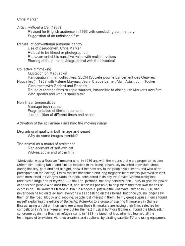 Marker Discussion Points | PDF | Cinema | Leisure