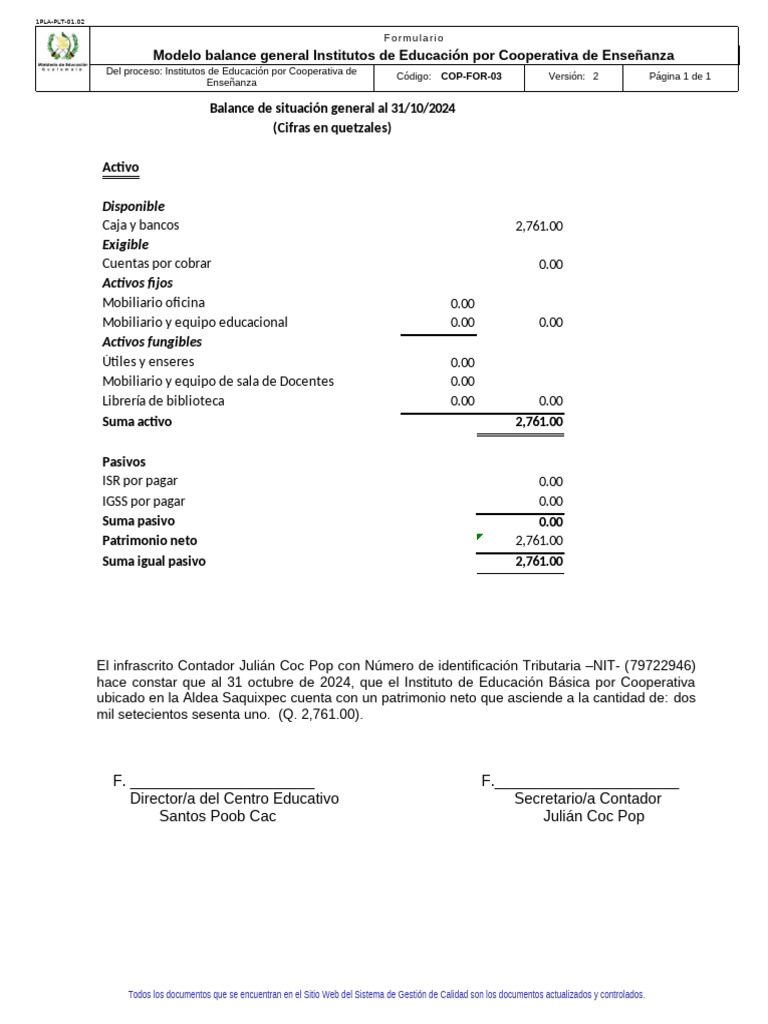 COP-For-03 Modelo Balance GeneralV2 | PDF | Contabilidad | Business