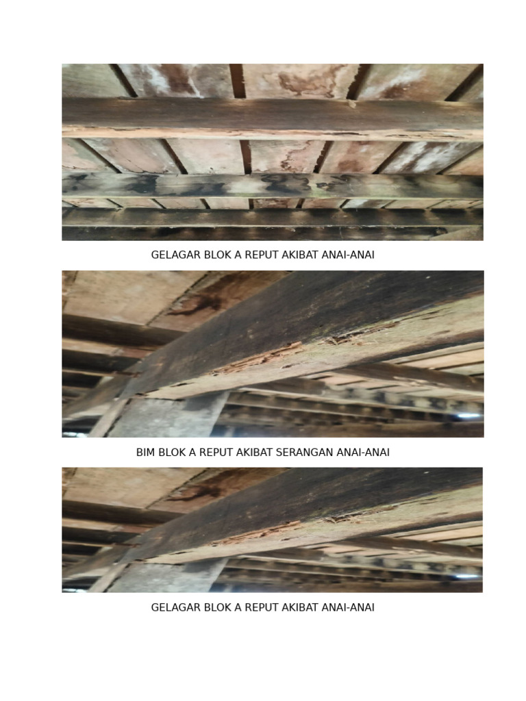 Gelagar Blok A Reput Akibat Anai | PDF