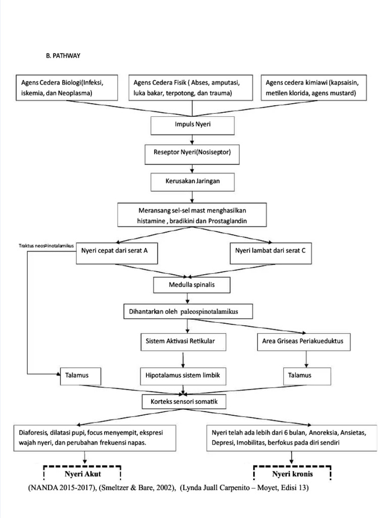PDF Pathway Aman Nyaman - Compress | PDF