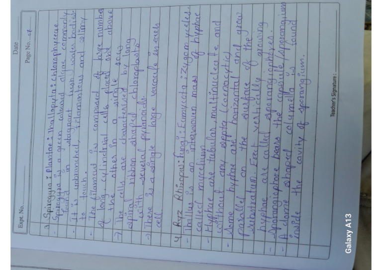Biology Project Work (Spotting) | PDF