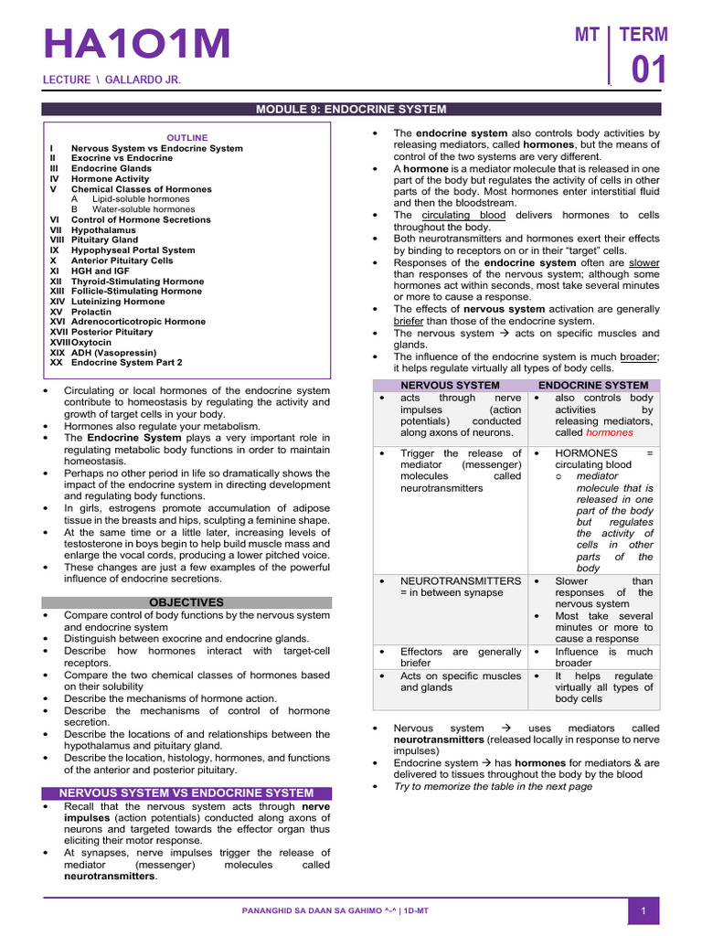 HA101M Module 9 Endocrine System | PDF | Pituitary Gland | Hormone