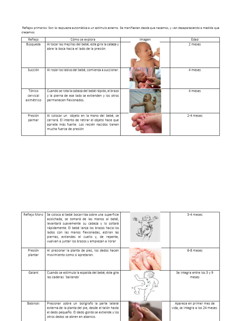 Reflejos primarios en bebés: guía y edades | PDF