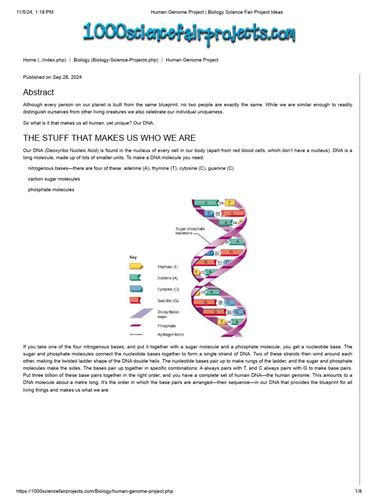Human Genome Project - Biology Science Fair Project Ideas | PDF | Human ...