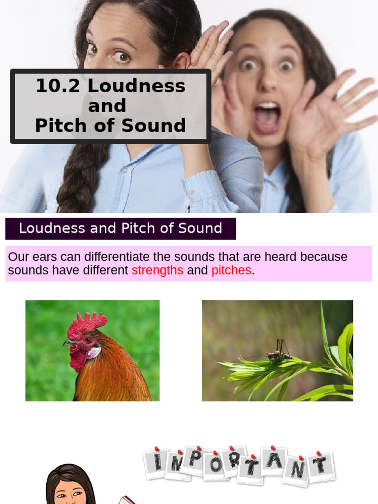 10.2 Loudness and Pitch of Sound | PDF