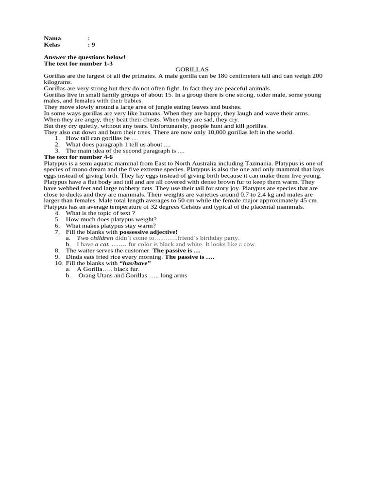 ATS 7,8,9 2024 | PDF | Gorilla | Mammals