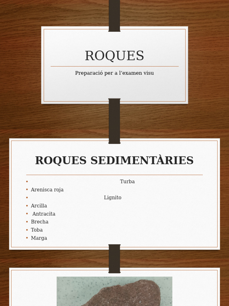 ROQUES (Preparaciã Examen Visu) 2 | PDF