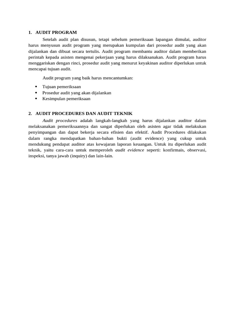 Audit Program | PDF