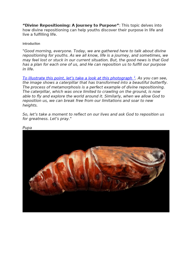 Divine Repositioning For Youths | PDF | Bible | God