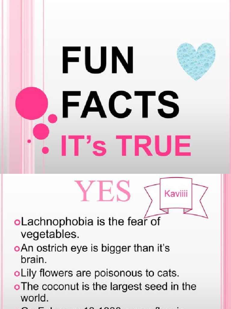 Interesting Facts 2 | PDF