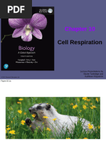 Scheduled Waste Management Guide | PDF | Packaging And Labeling | Waste