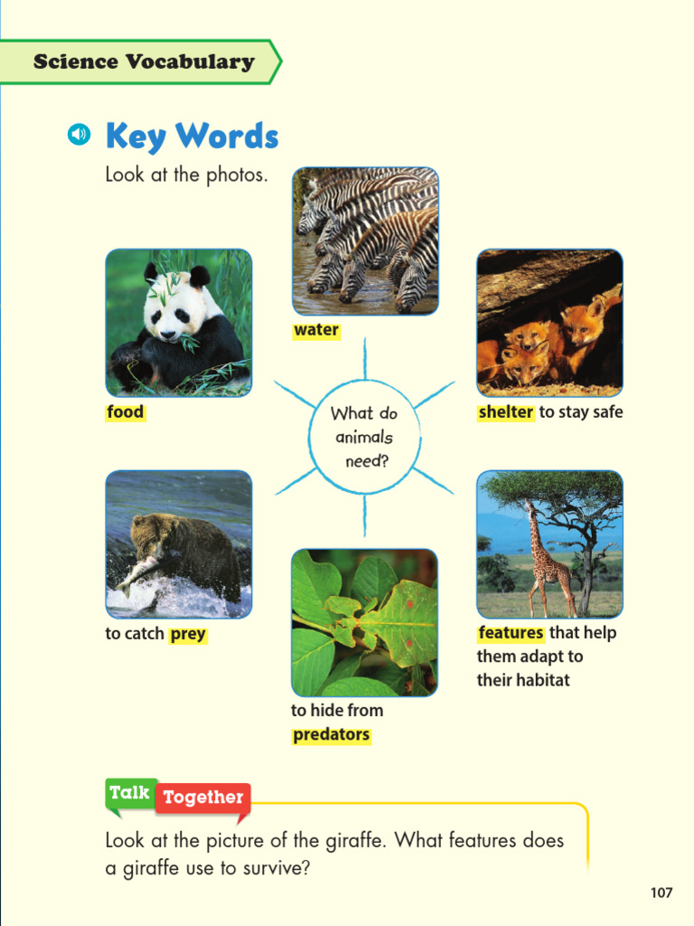 Science Vocabulary for Kids | PDF | Tentacle