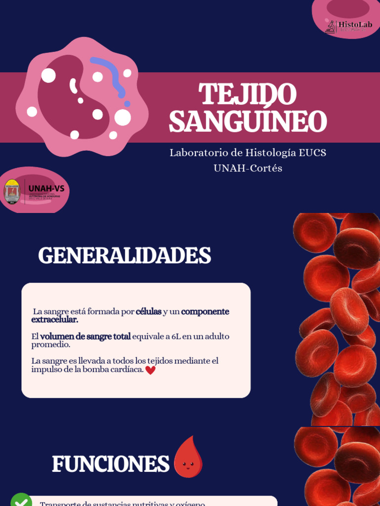 Presentación-Tejido Sanguineo | PDF | Sangre | Hematopoyesis