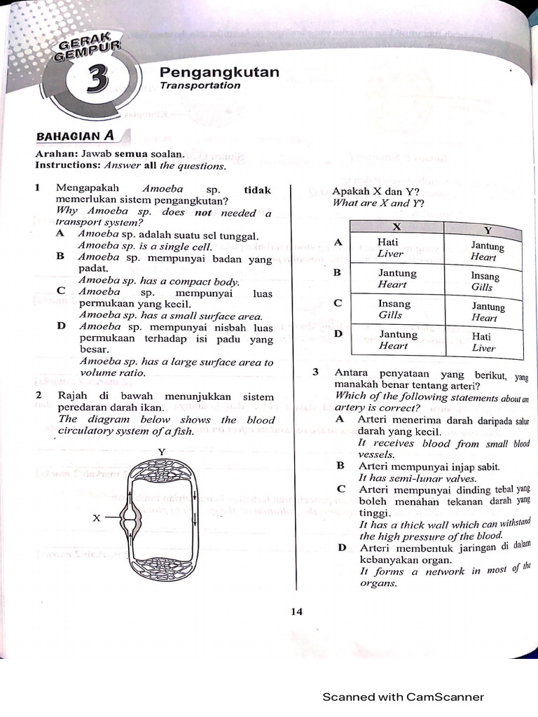 Homework Science F3 at Transport | PDF