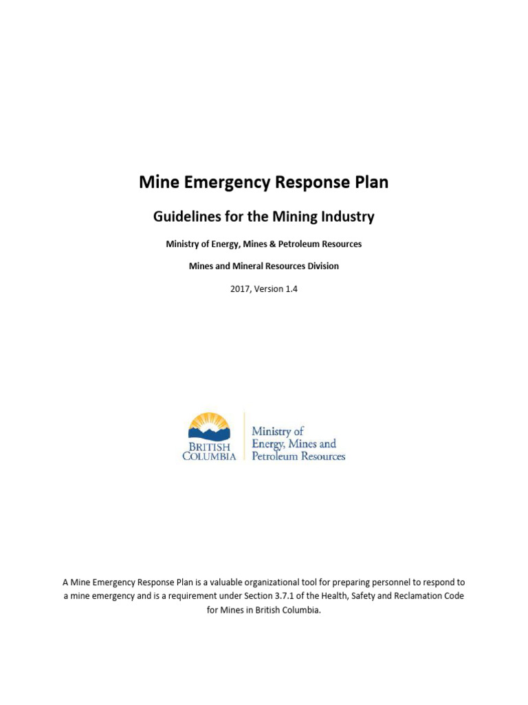 Merp Guideline 2017 Revision Final | PDF | Emergency | Incident Command System