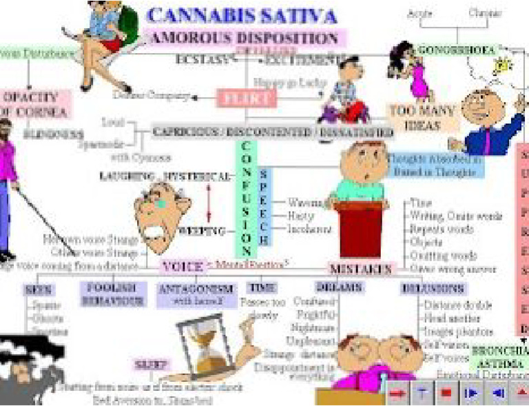 Scanned 20241105 151154 | PDF