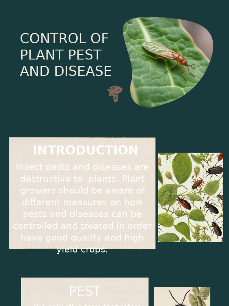 Plant Pest and Disease Control Guide | PDF | Pest (Organism) | Branches ...