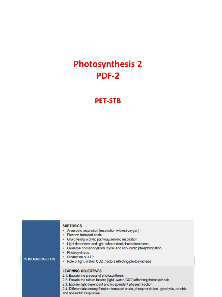 Photosynthesis 2 | PDF