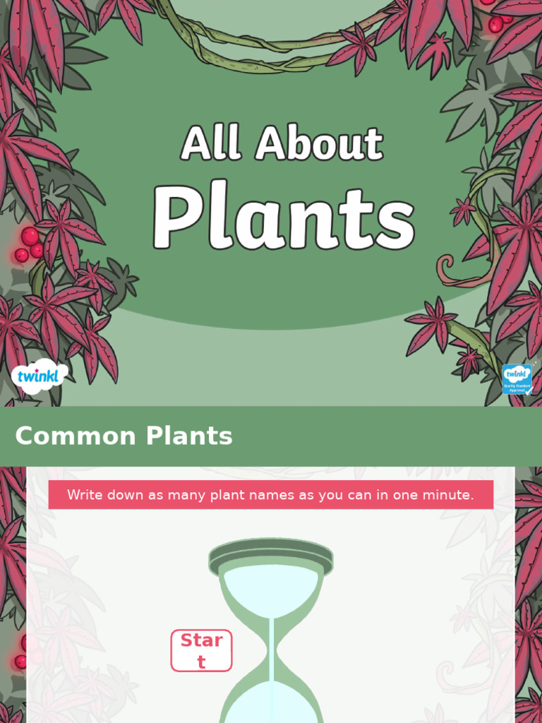 Understanding Plant Parts and Needs | PDF | Plants | Seed