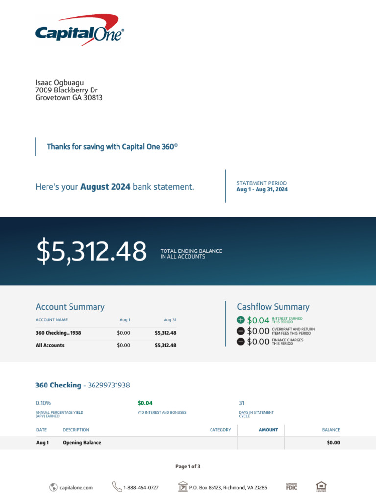 Bank Statement | PDF | Transaction Account | Overdraft