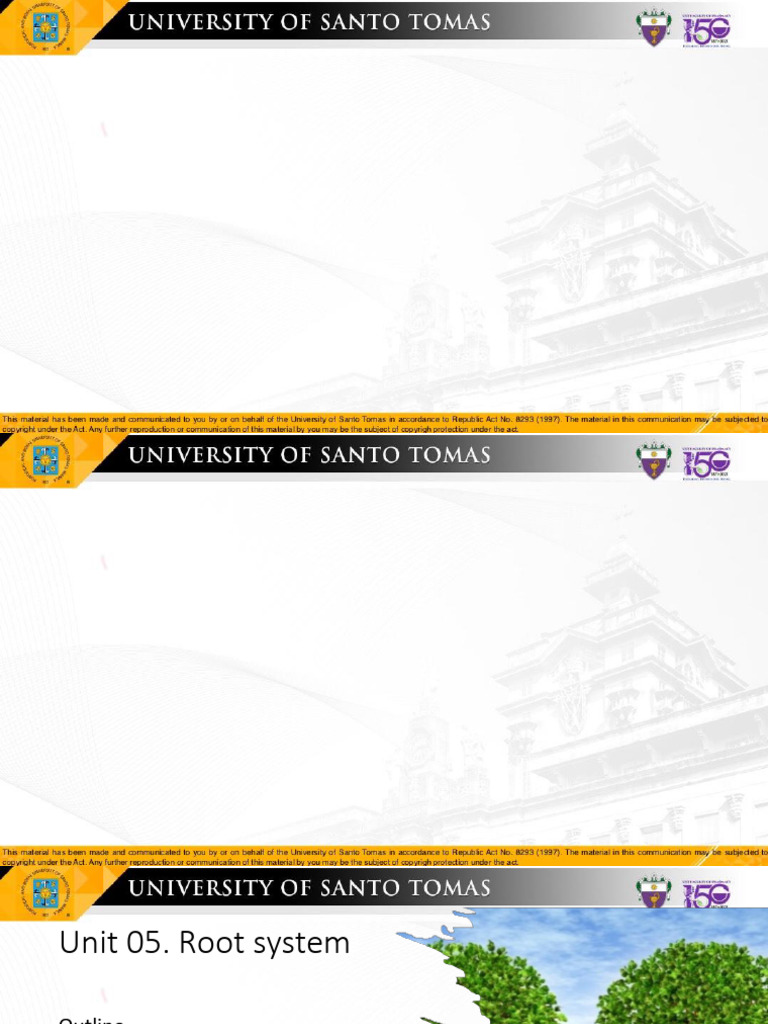 PHA611 LEC - Roots - Student | PDF | Root | Tissue (Biology)