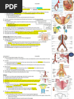 Ligaments of The Female Reproductive Tract - TeachMeAnatomy | PDF ...