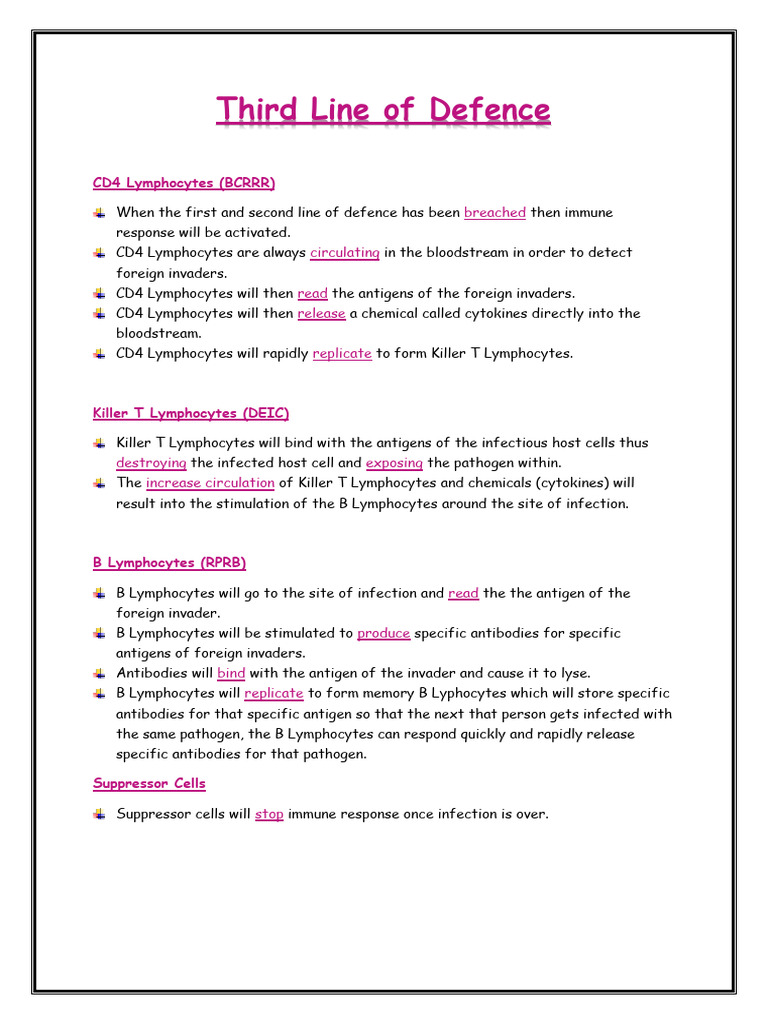 Third Line of Defence | PDF