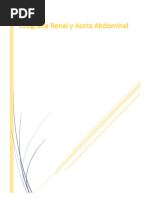 Ecografía renal: anatomía y protocolo | PDF | Riñón | Abdomen