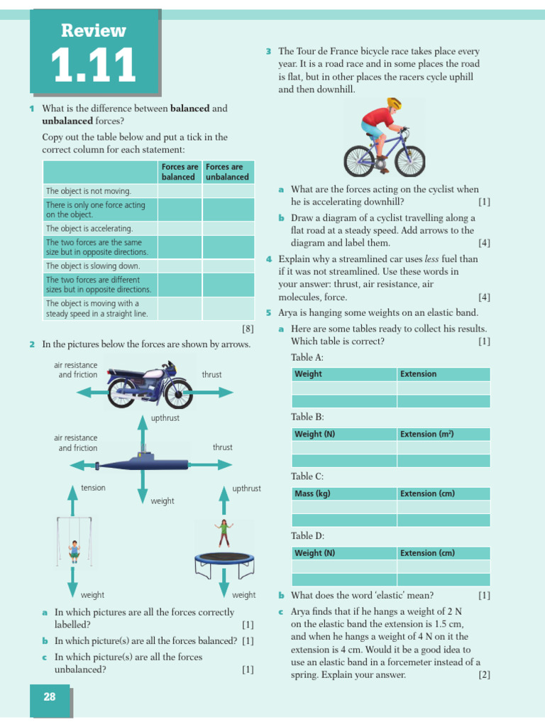 force naomi | PDF | Weight | Force