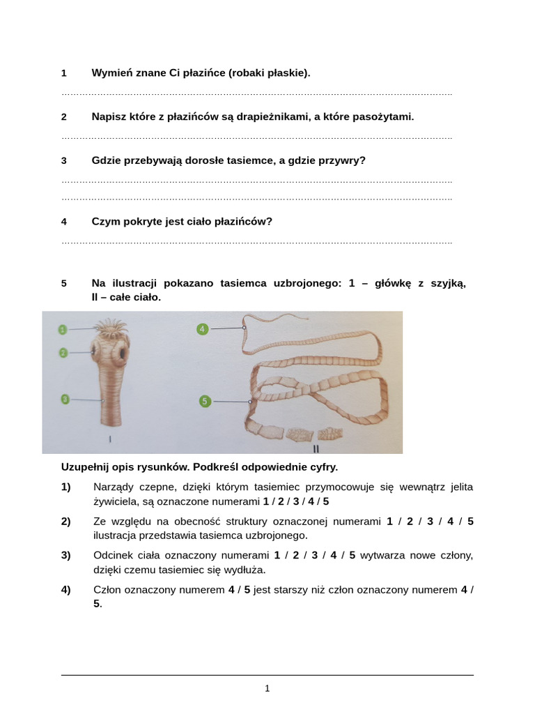 Biologia Kl. 6 - Karkówka - Płazińce | PDF