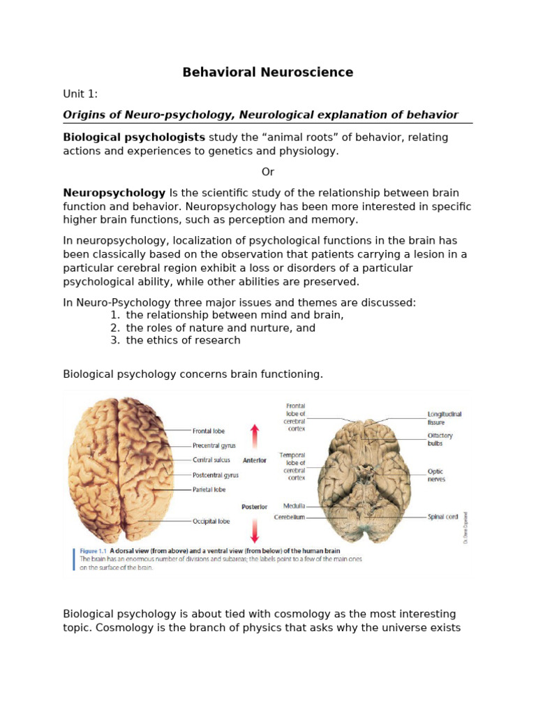 Unit 1, Origin of Neuro-Science | PDF | Mind | Neuropsychology