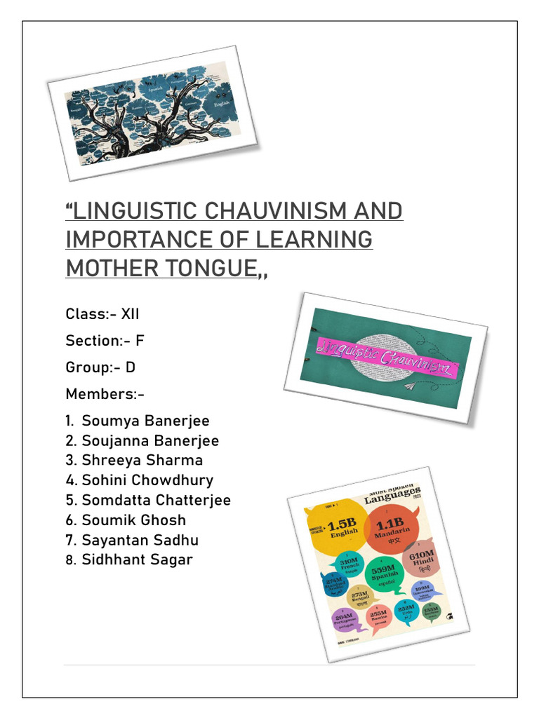 Linguistic Chauvinism & Mother Tongue Importance | PDF