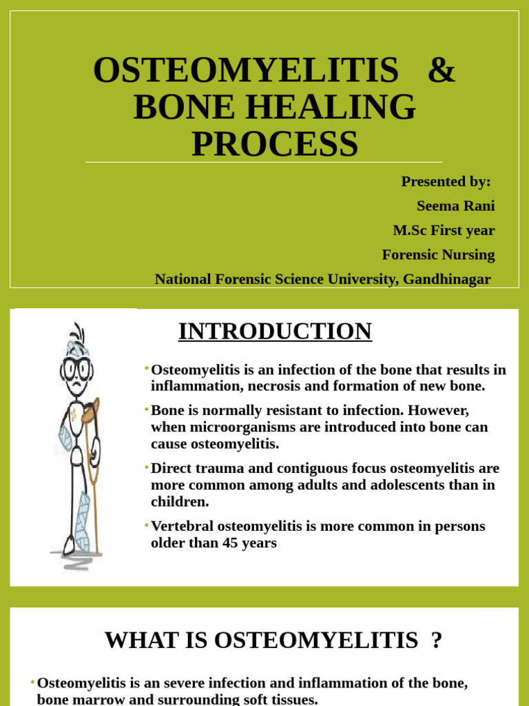 Osteomyelitis & Bone Healing Process-1 | PDF | Healing | Bone