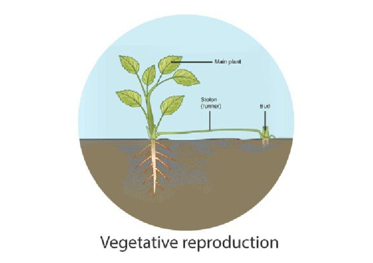 Image To PDF 20241105 16.24.55 | PDF