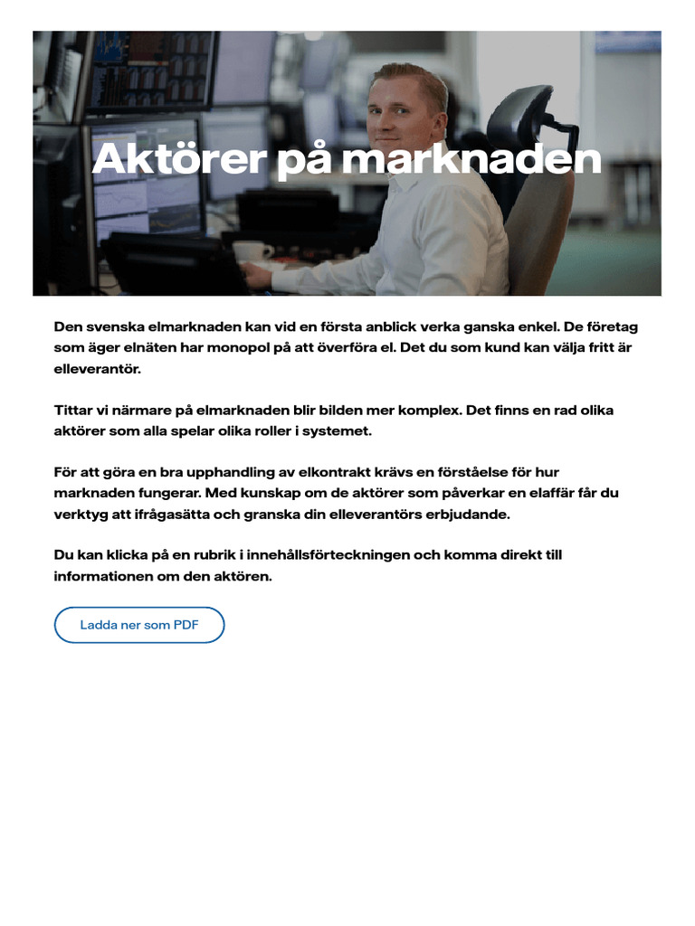 Aktörer På Elmarknaden Vattenfall | PDF