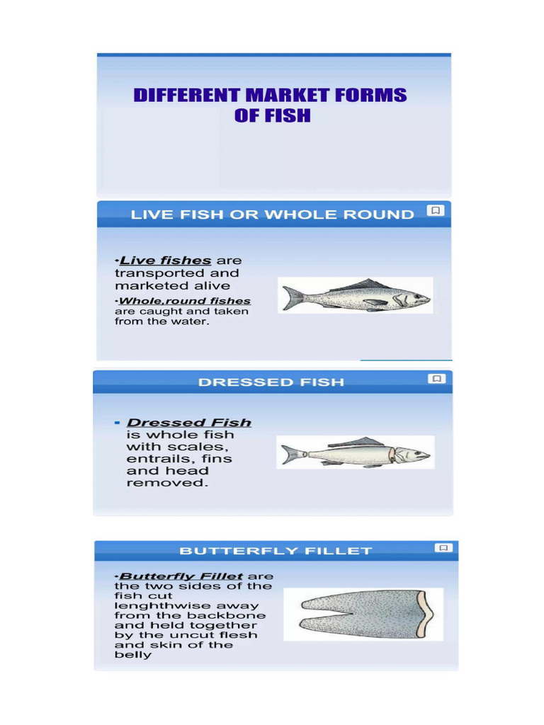 Different Cuts of Fish | PDF