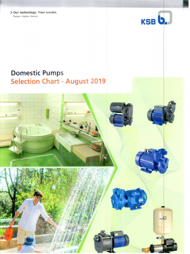 Domestic Pumps Selection Chart - 2019 | PDF