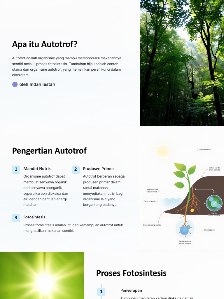 Apa Itu Autotrof | PDF | Kesehatan Holistik | Sains & Matematika