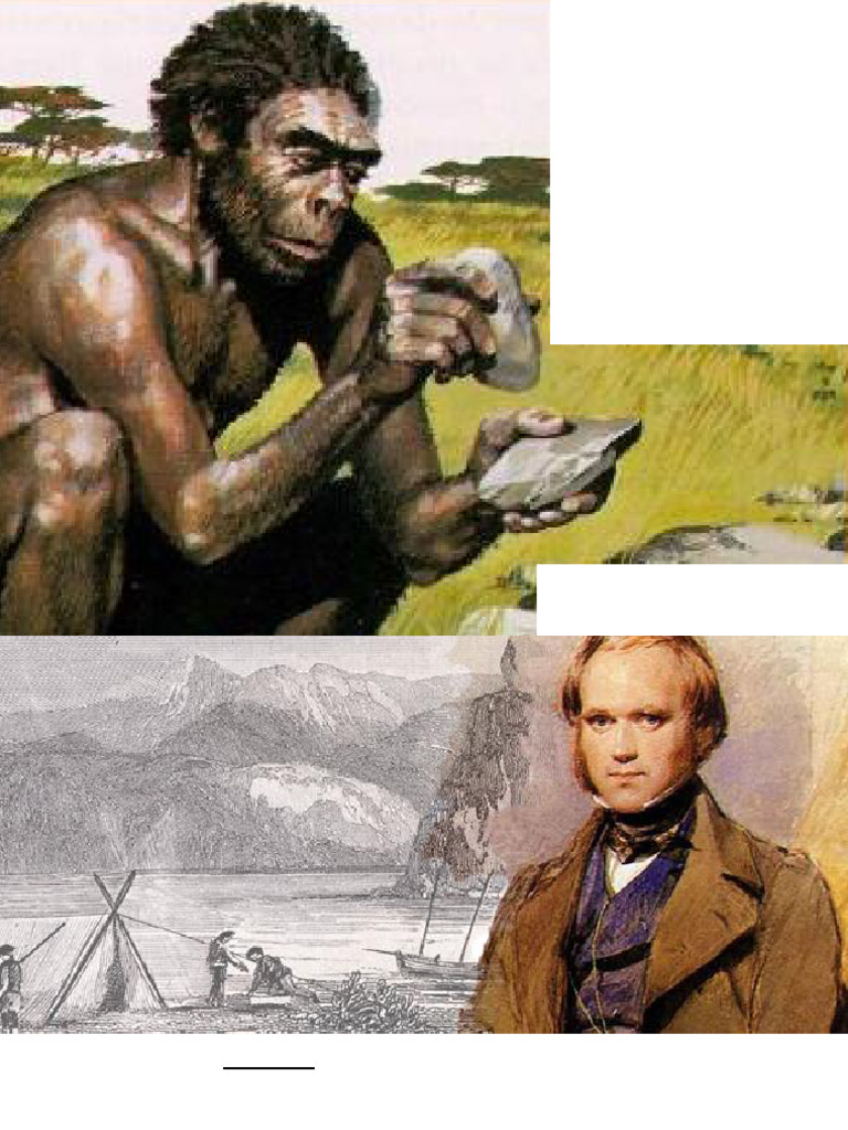 4038 Evolution of Human | PDF | Homo | Human Evolution