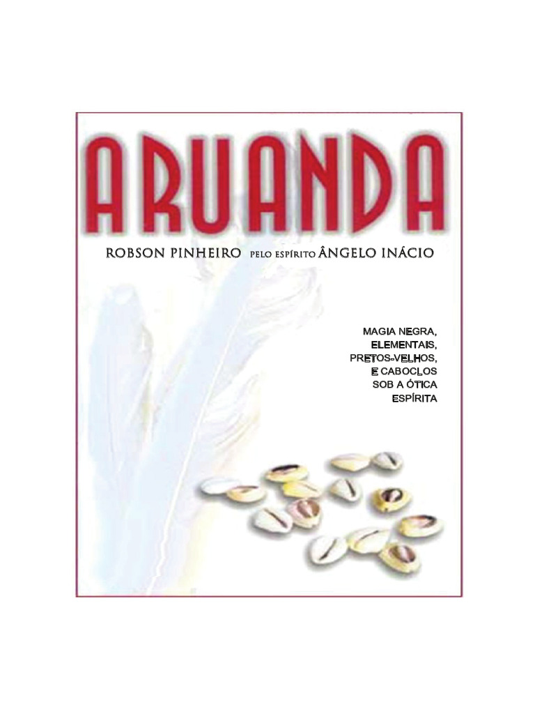 02 - Aruanda | PDF | Business | Technology & Engineering