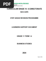 Grade 10 Business Studies ATP 2026 | PDF | Swot Analysis | Economies