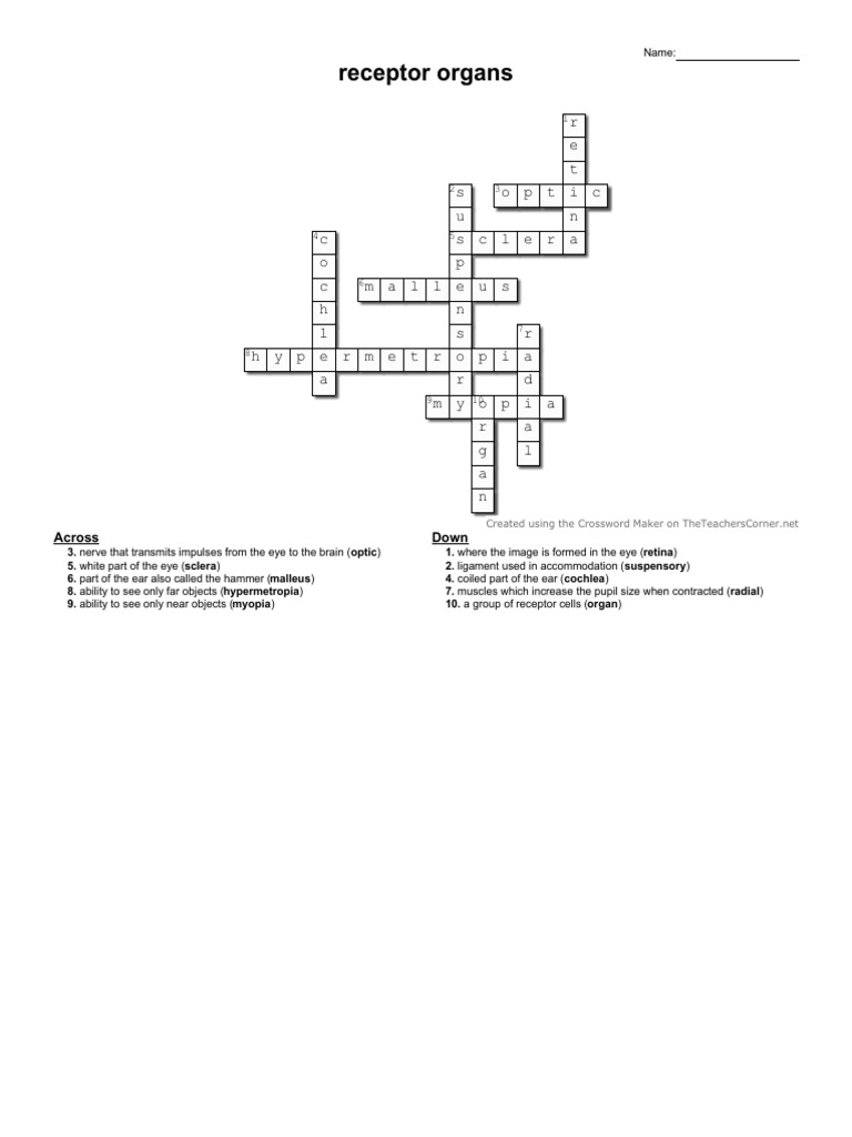 Eye and Ear Anatomy Crossword Puzzle | PDF | Anatomy | Vision