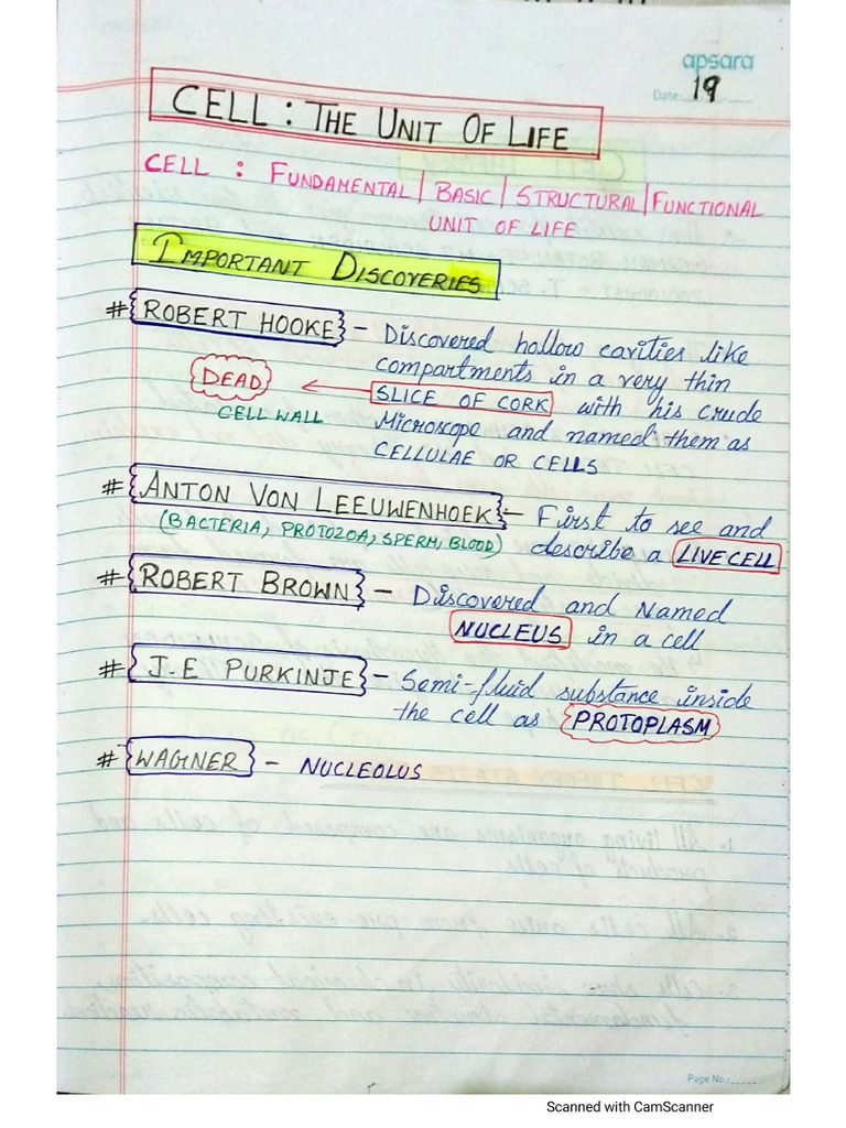 Cell The Unit of Life | PDF