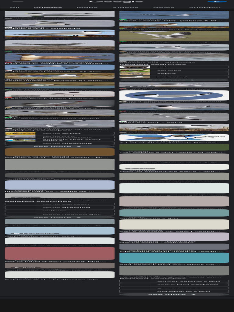 Xeme Bird - Google Search | PDF | Ornithology | Birds