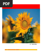 Class 11 Neet Morphology New Families | PDF | Flowers | Botany