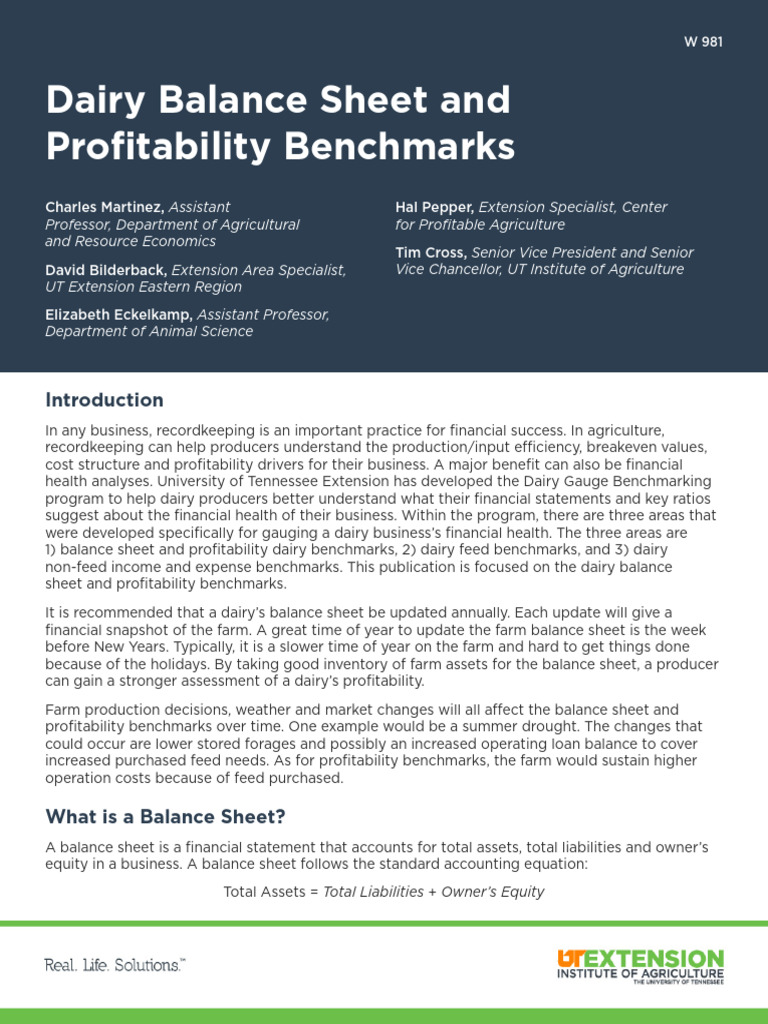 Dairy Balance Sheet and Profitability | PDF | Equity (Finance) | Dairy ...